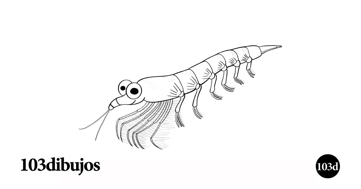 100. Kril / Krill. 103dibujos